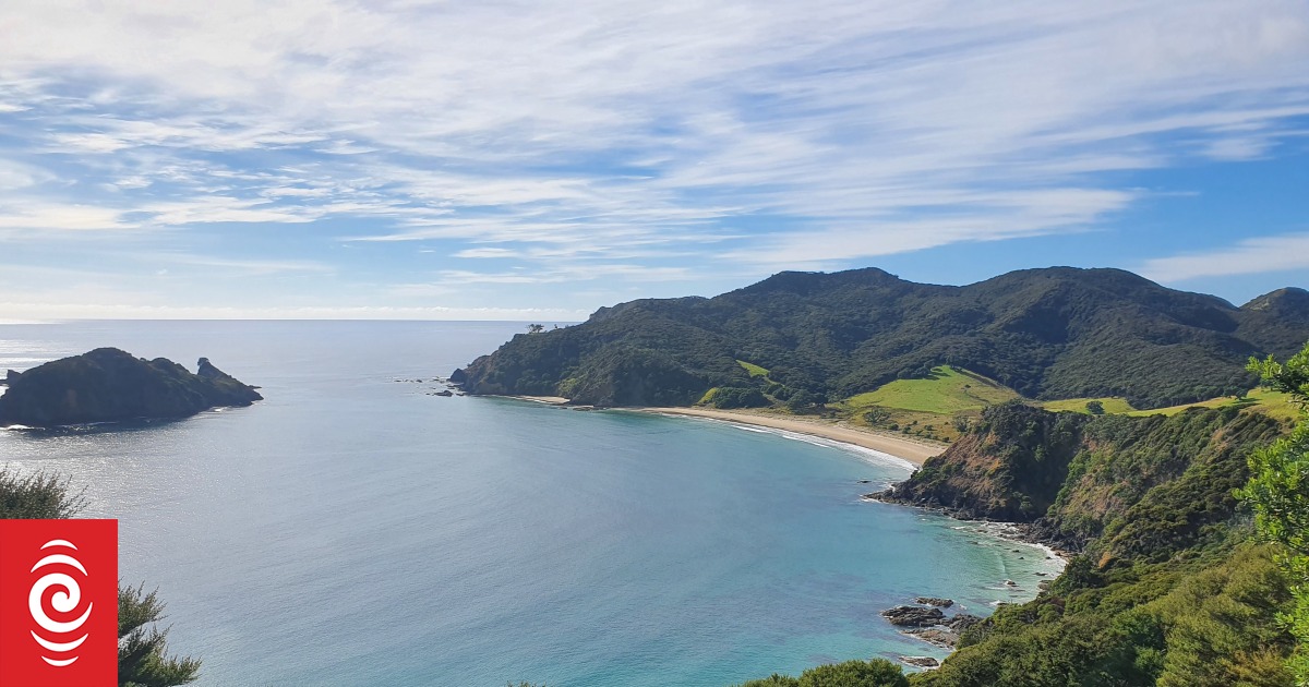Great Barrier Island sand dune collapses, two boys critically hurt ...