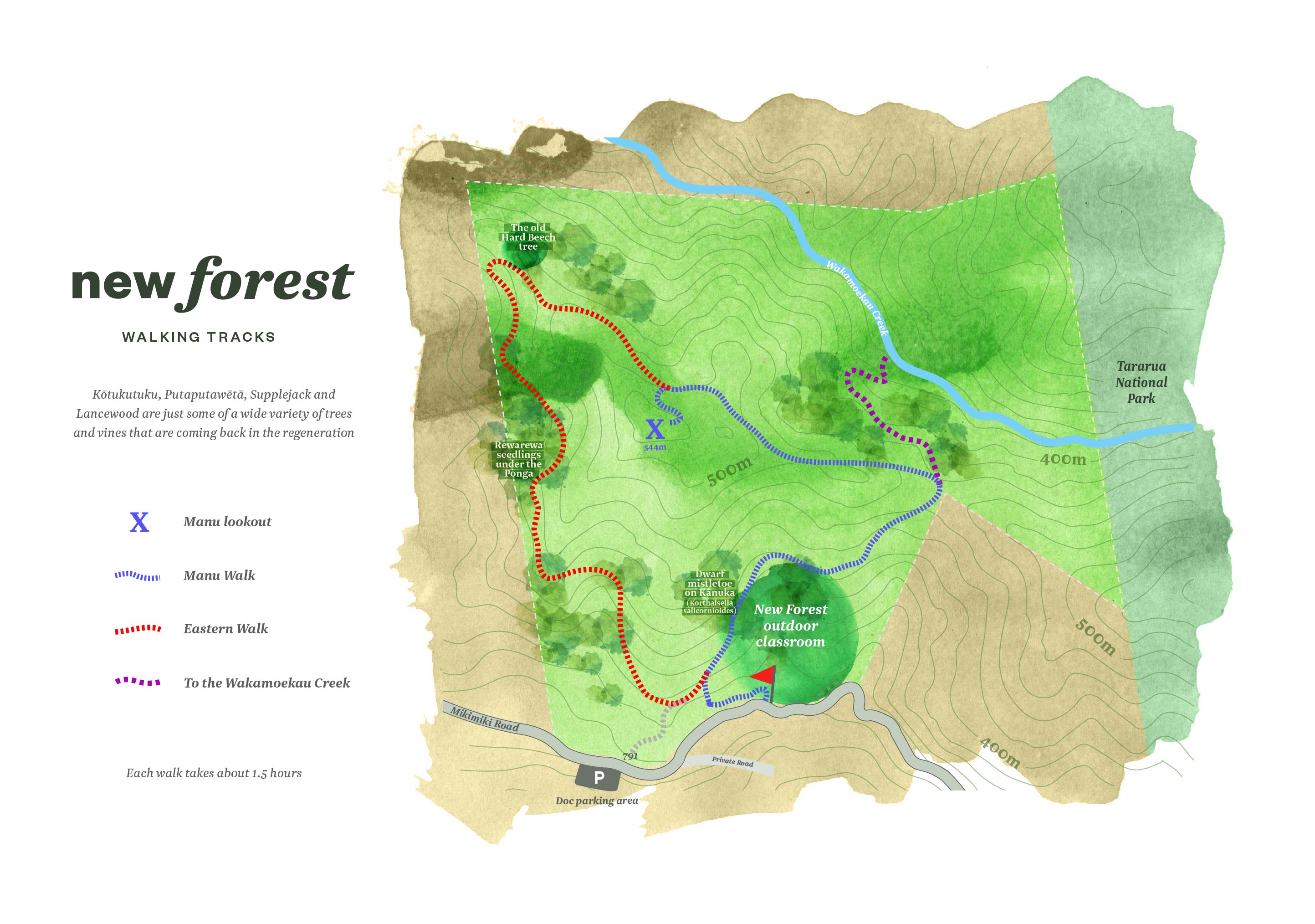 New Forest School: Education in nature | RNZ