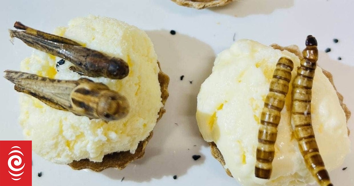 Insect ice-cream, anyone? | RNZ