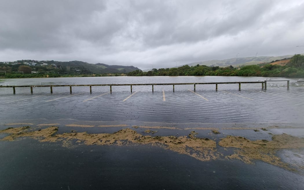 Dozens evacuated as torrential rain floods Wellington suburbs, more ...