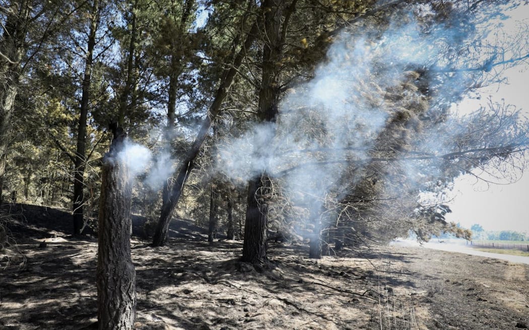 Cause of Bridge Hill fire found, as winds fan flare ups at West Melton ...