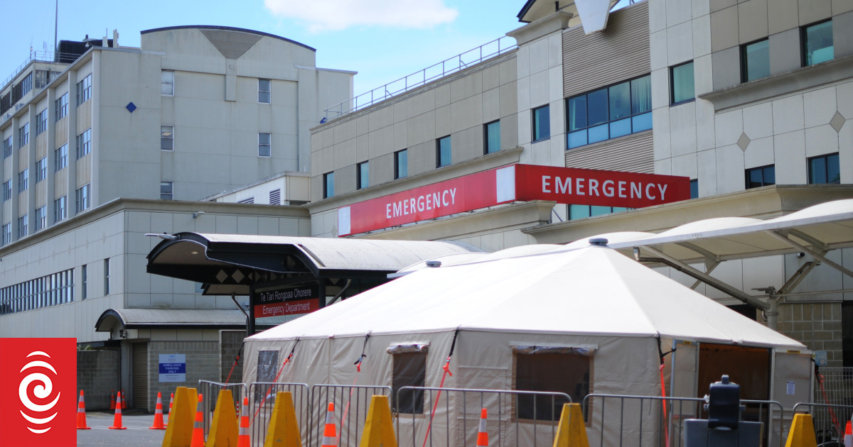 Investigation follows woman's death after Middlemore's ED too crowded | RNZ