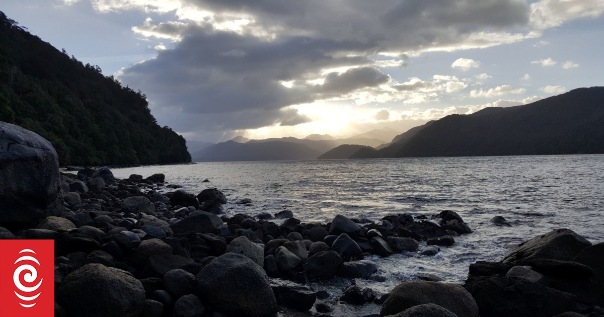 Fishing company, skipper fined for breaching rules on set nets | RNZ News