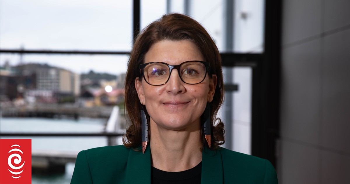 'We had a democratic process' for Māori ward, Gisborne Mayor says | RNZ ...