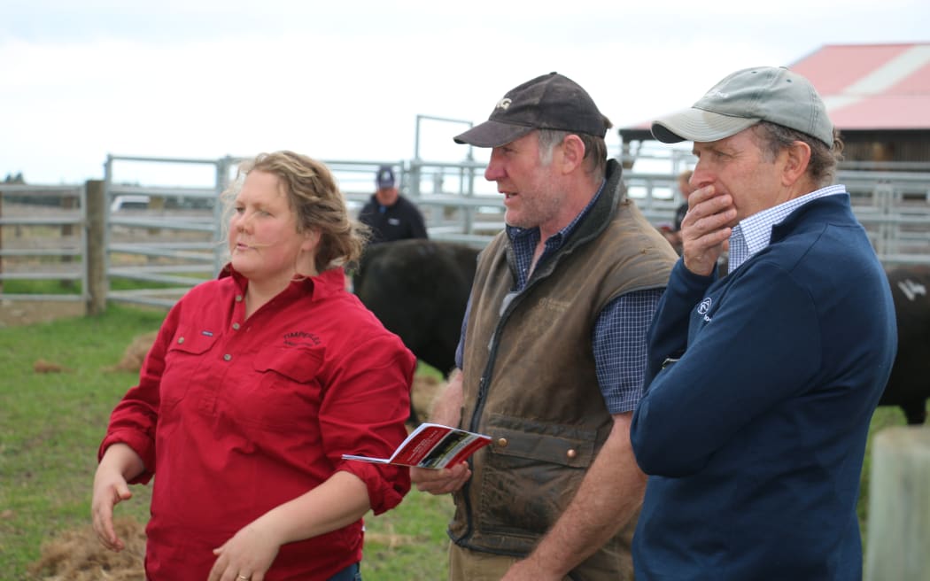 Emotions flow at family run bull sale | RNZ