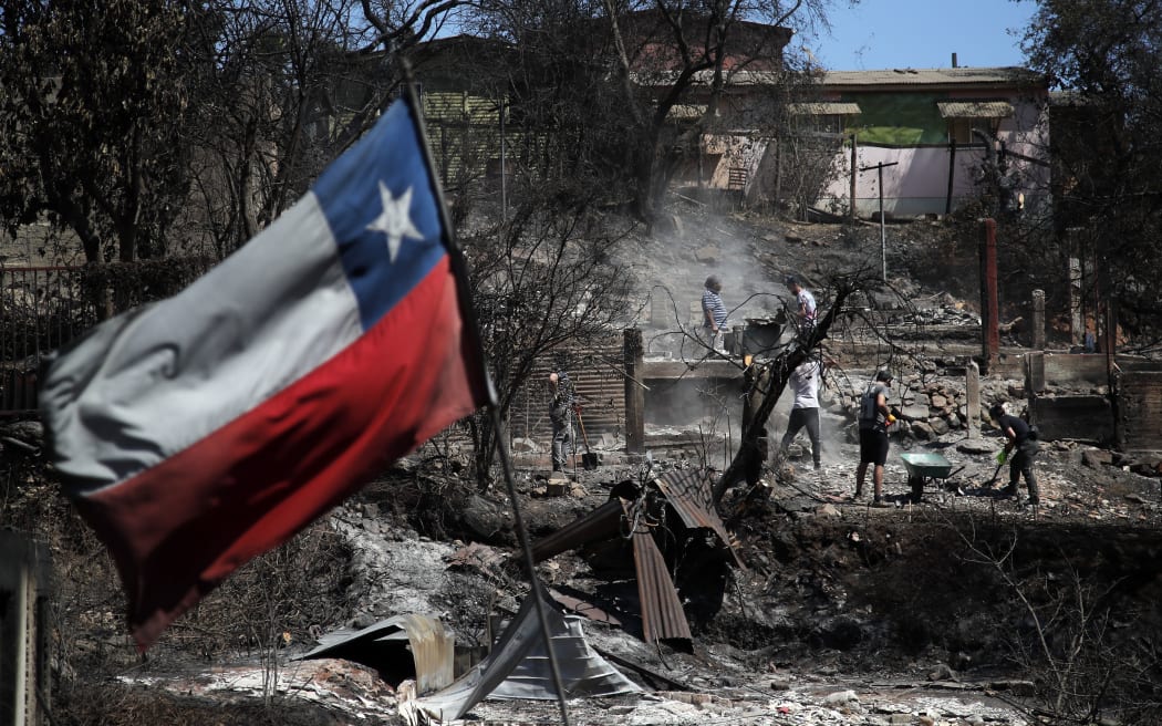 Chilean vet helps dogs, cats and rabbits injured in wildfires | RNZ News