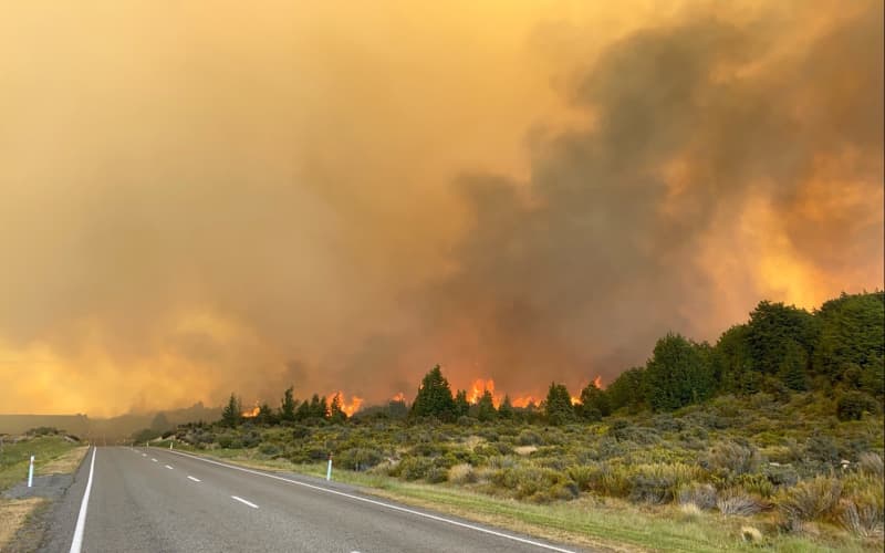 Crews rush to fight Bridge Hill blaze before gale force winds expected ...