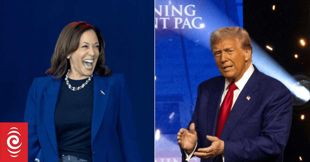 US election won't be as close-run as polls suggest - analyst | RNZ News