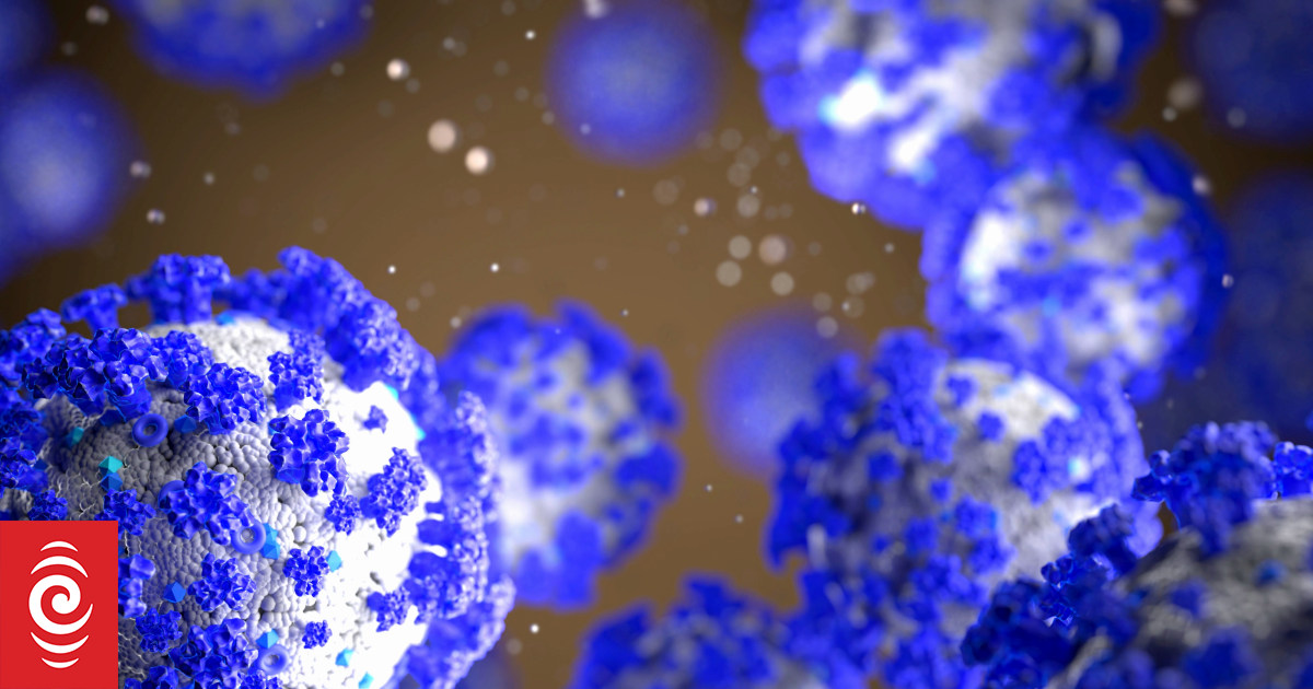 XEC: What you need to know about the new Covid-19 variant | RNZ News