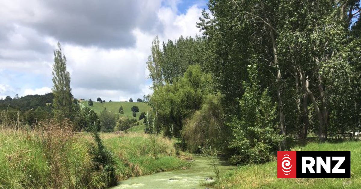 Anger over lack of warning for algal bloom | RNZ