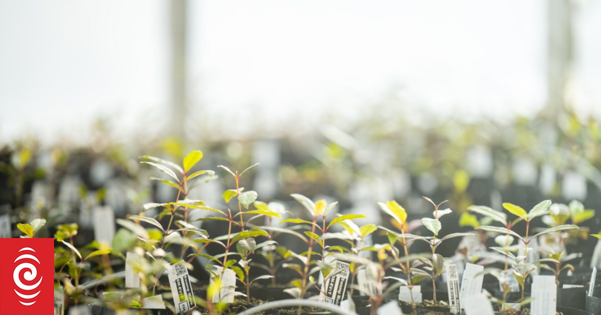 Manawatū iwi believed first indigenous group to name a genome sequence ...