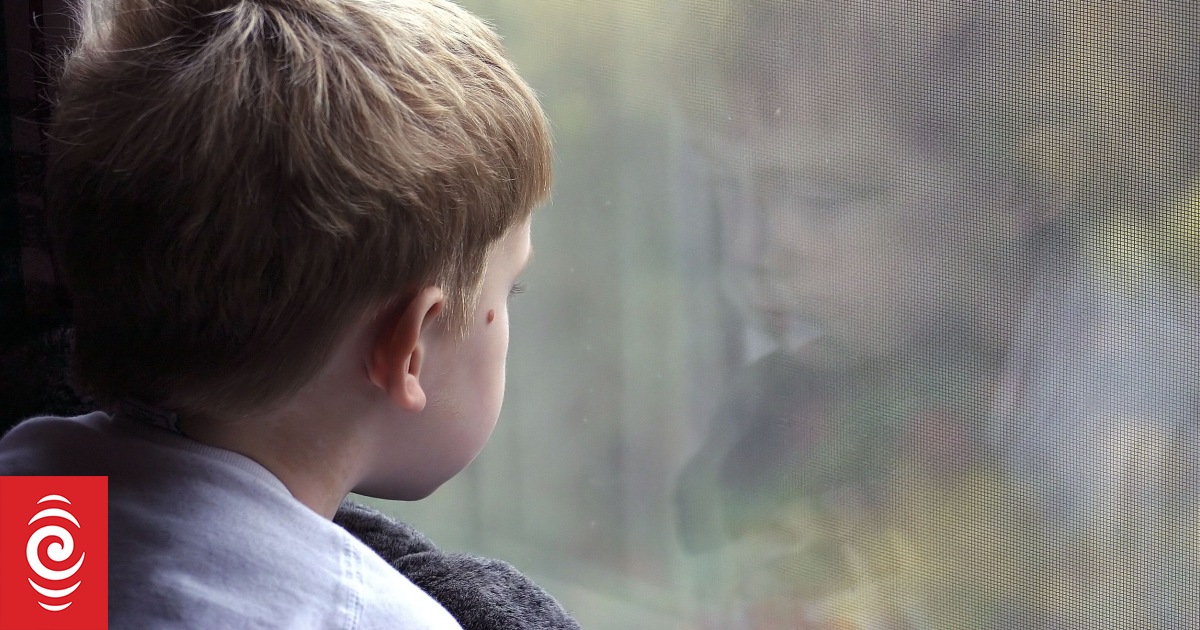 The Pre-Panel with Mark Knoff-Thomas and Ruth Money | RNZ