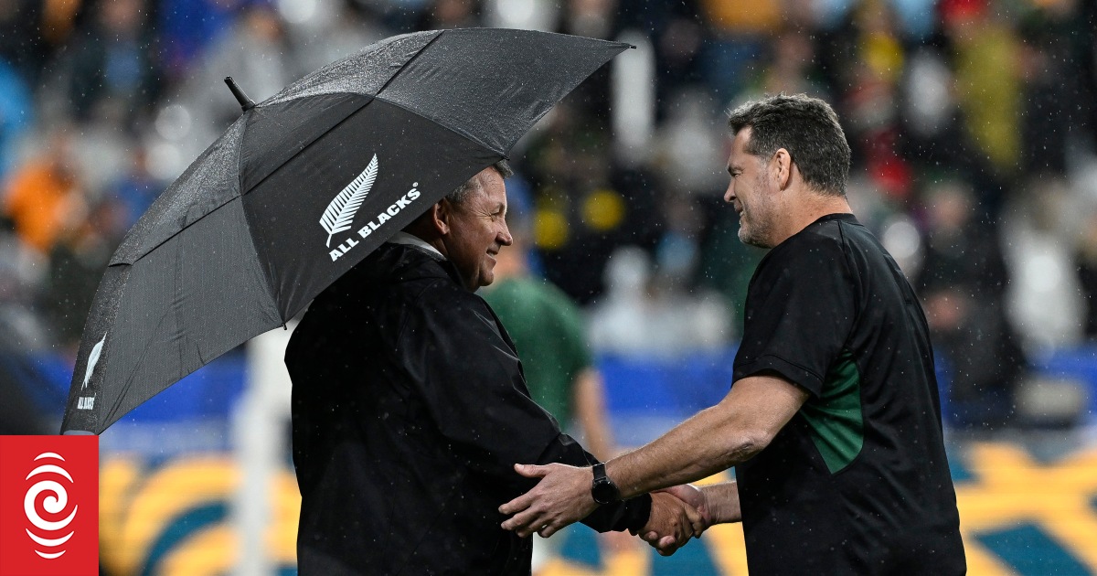 Erasmus to reclaim Springboks head coaching role | RNZ News