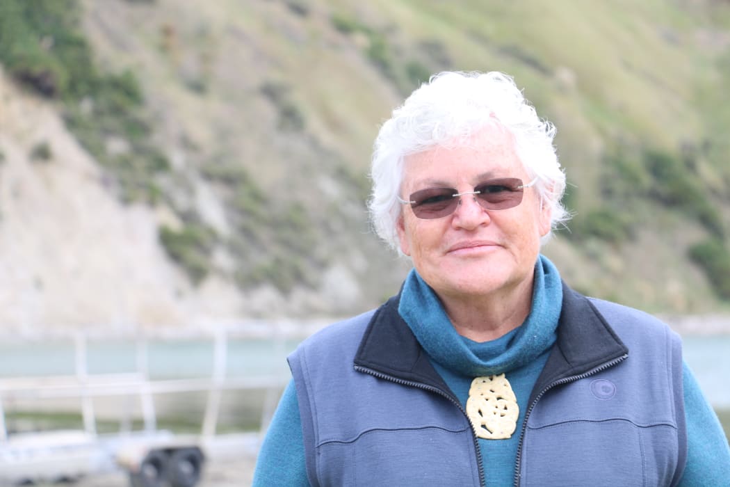 Dr Mere Whaanga - Author, Illustrator and Historian. | RNZ