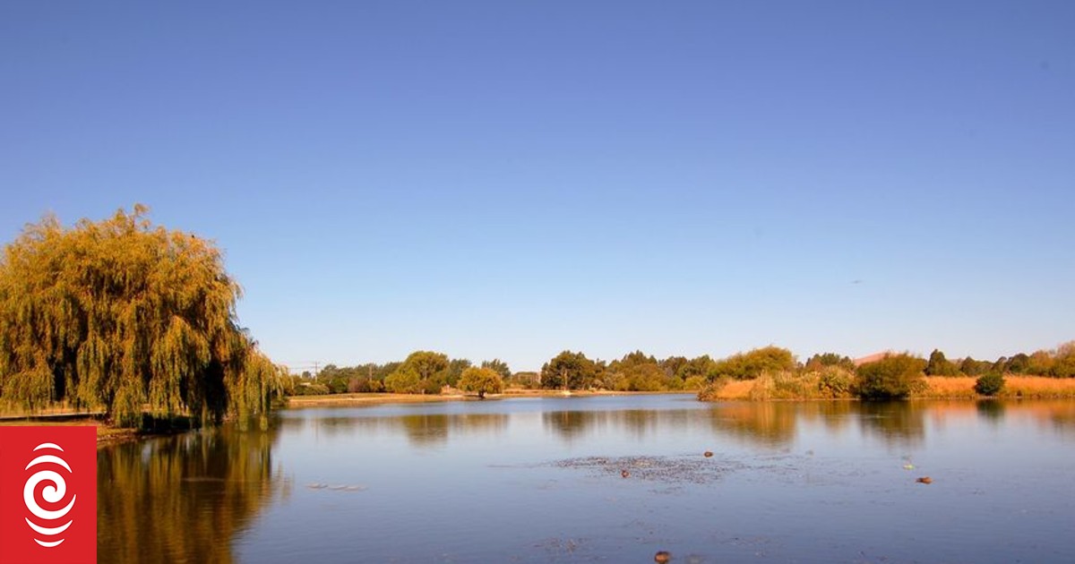 Mayor unsurprised Masterton given award | RNZ News