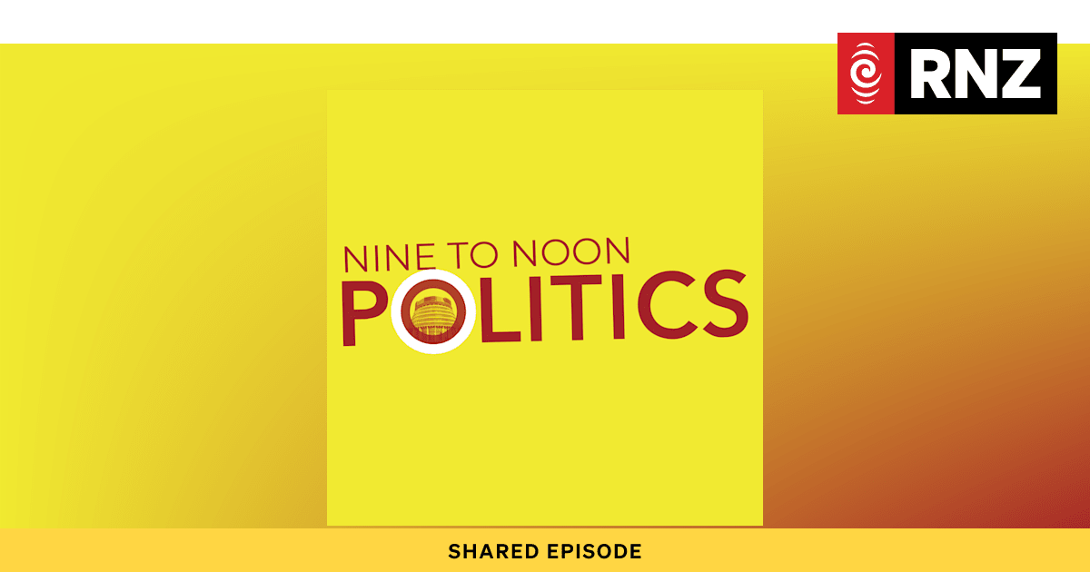 Dale Husband and Liam Hehir episode of Nine To Noon Politics | RNZ