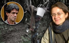 Birgit Brauer’s killer Michael Wallace to fight conviction through ...