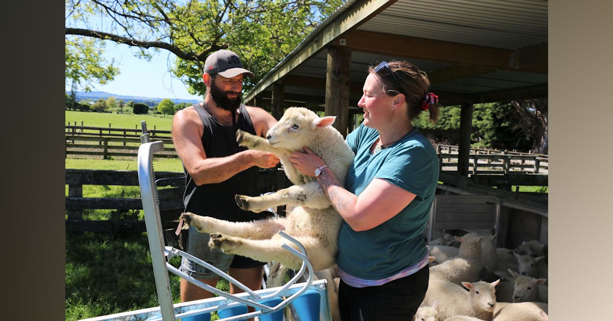 Country Life for Friday 4 November 2022 Country Life | RNZ
