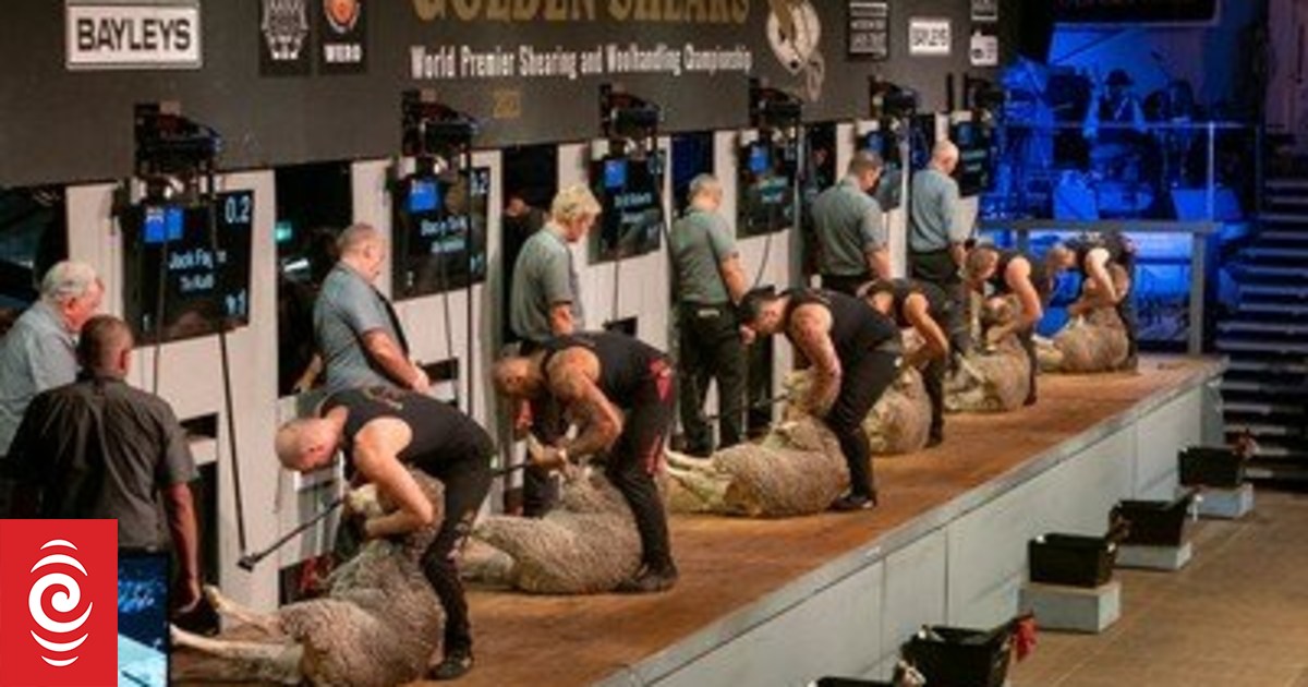 Golden Shears competition gets underway in Masterton | RNZ News