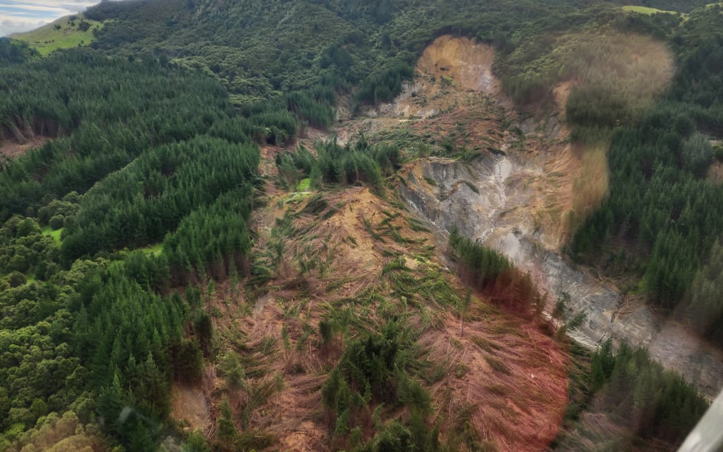 Transitioning Tai Rāwhiti away from forestry | RNZ News