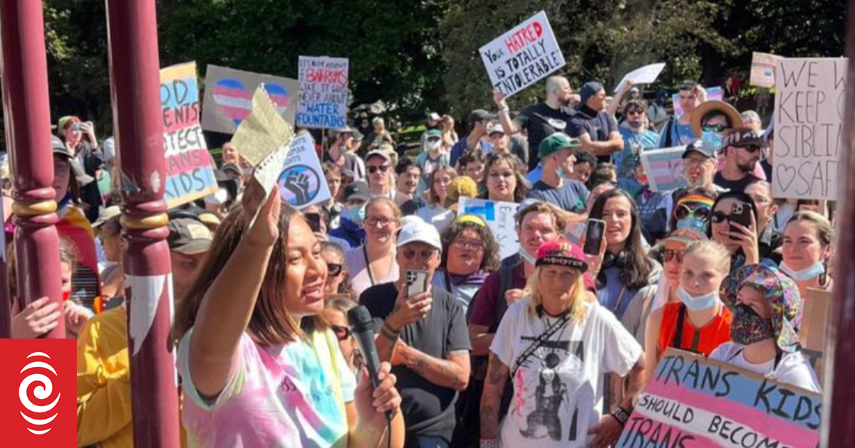 Greens co-leader on white cis men comments | RNZ