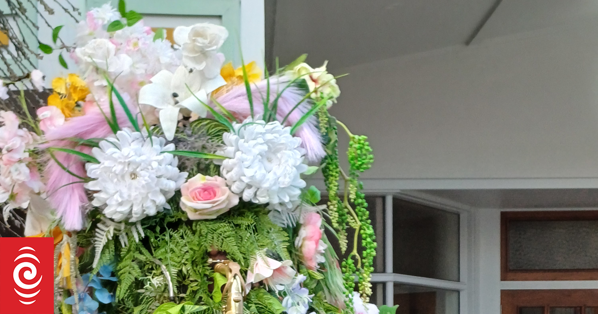 Moment of Calm: Tree in the traffic. | RNZ