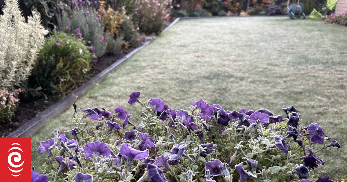 North Island bears brunt of cold snap overnight | RNZ News North Island bears brunt of cold snap overnight | RNZ News