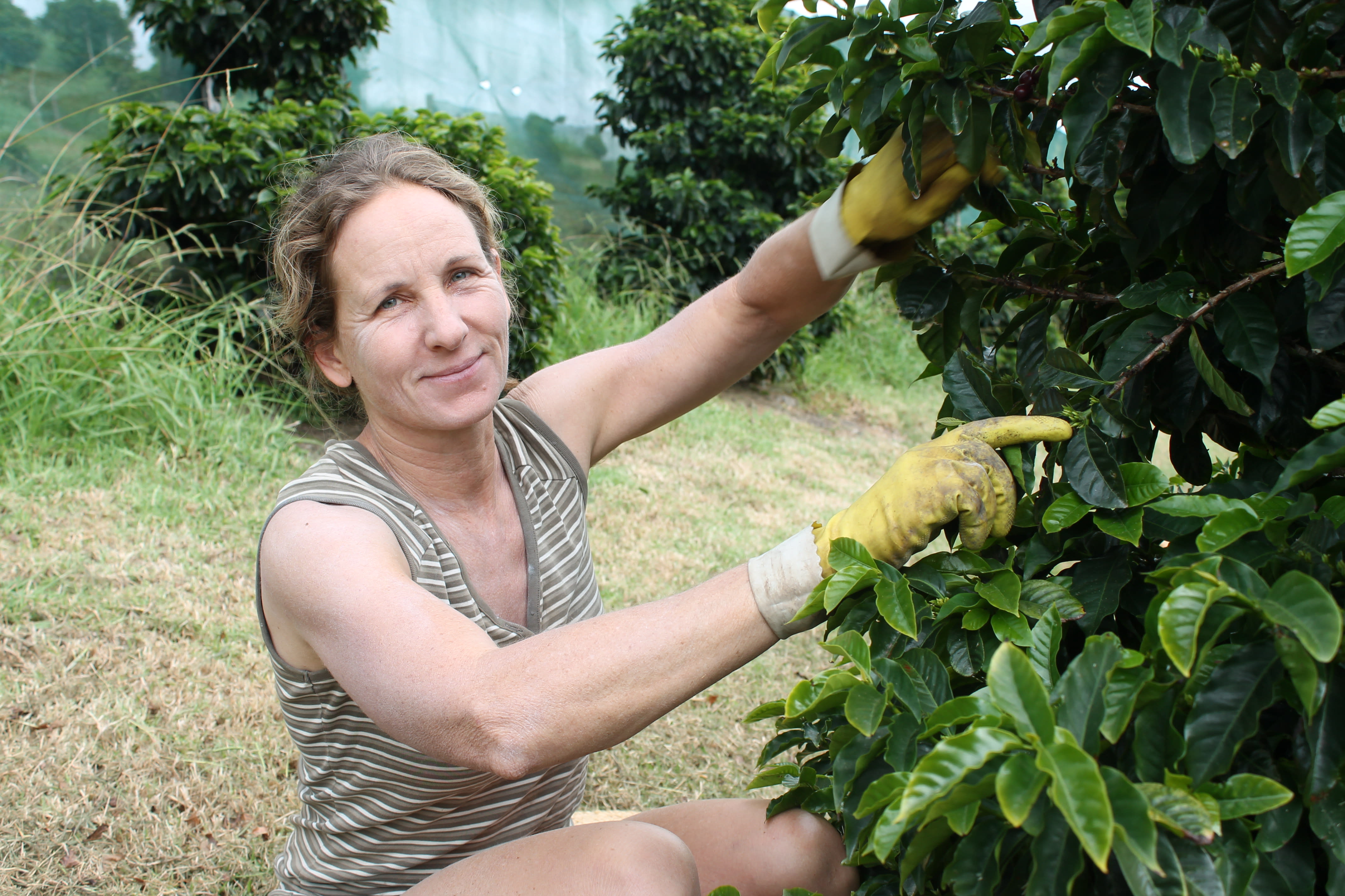23 Years of Country Life - farewell to Carol Stiles | RNZ
