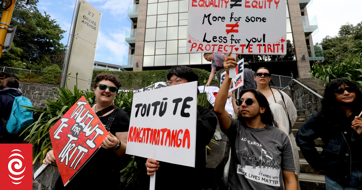 Treaty Principles Bill protest lands on David Seymour's electoral ...