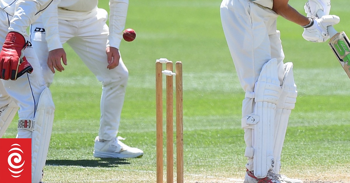 Hawke's Bay extend Hawke Cup tenure | RNZ News