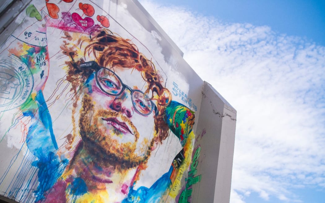 Shayne Carter: ‘Art has always been completely undervalued’ | RNZ News