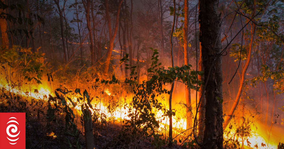 Alaska wildfires cause some of the world's worst air pollution | RNZ News