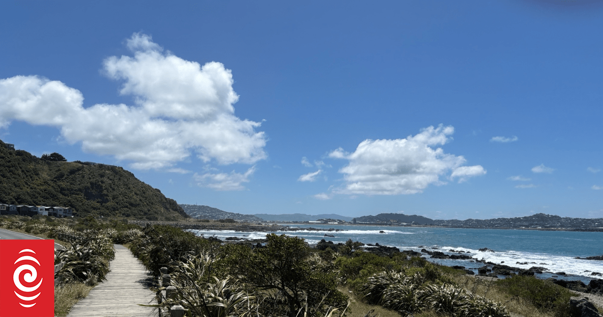 Clean up of Wellington beach toxic dump site cost nearly $1 million ...