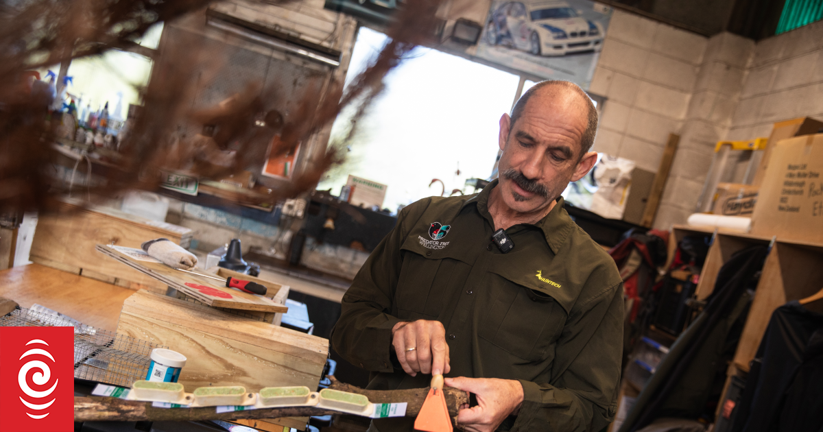 Predator Free Wellington faces $1.75m annual shortfall | RNZ News