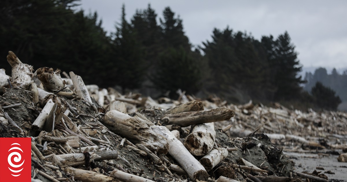 Large slash must now be removed after harvesting, new forestry ...