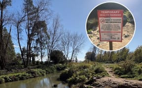 Dog owners warned to stay away from fatbergs on Nelson beach | RNZ News