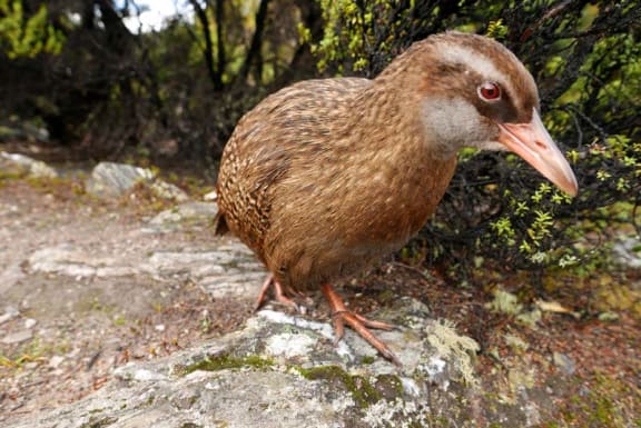 Hidden lakes | A Gallery from Nine To Noon | RNZ National