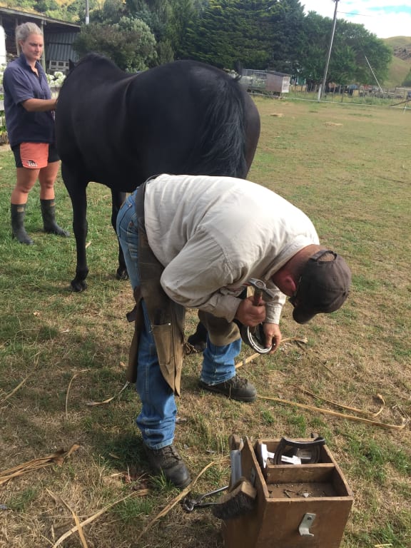 Farrier Jason Wood | A Gallery from This Way Up | RNZ National