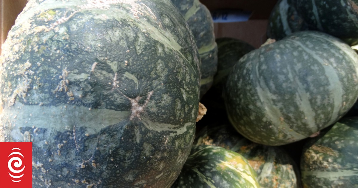 Tonga poised for more squash exports to China | RNZ News