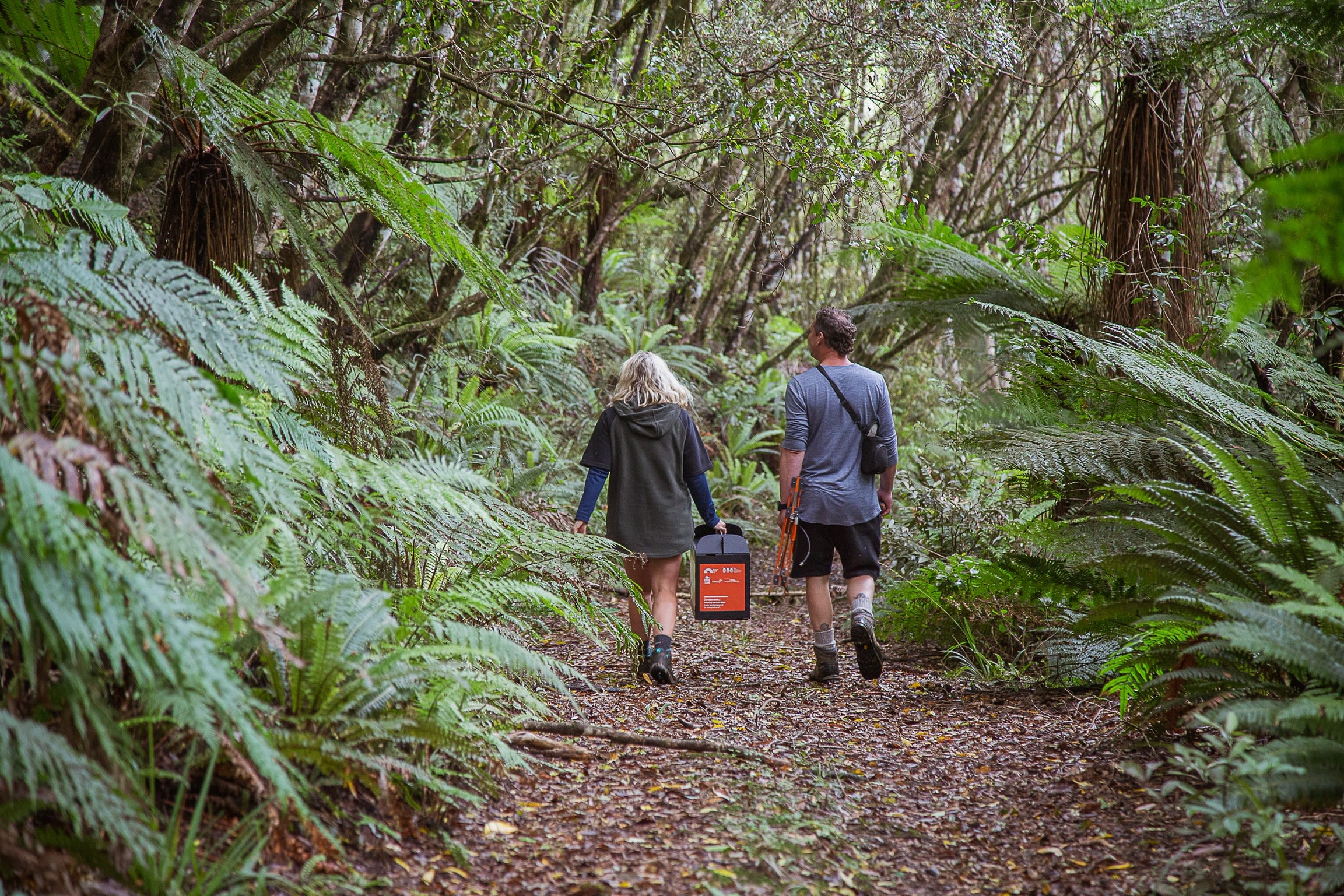 Birds and the bees: Manunui Honey | RNZ