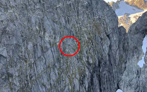 Firefighters, police clash over cliff rescue of woman trapped in ...