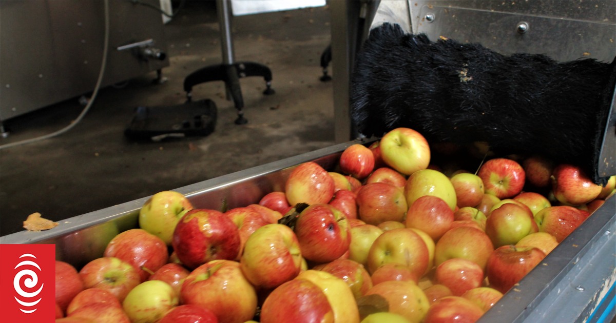 Fruit and Vege Report with Glenn Forsyth | RNZ