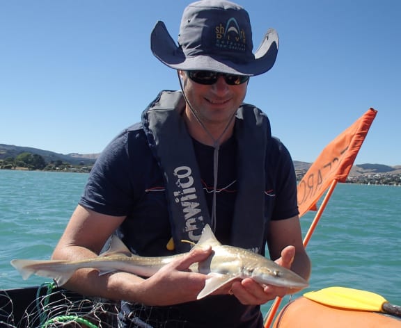 Tracking Rig Sharks | RNZ