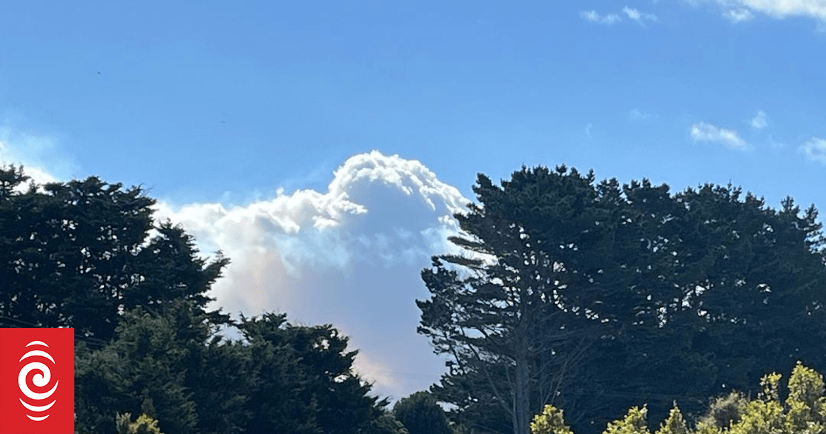 Remaining residents evacuated as massive Waipoua Forest fire rages in ...