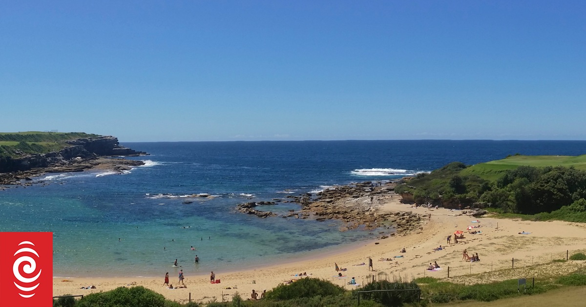 Family of shark attack victim Simon Nellist say he was a 'gentle' and ...