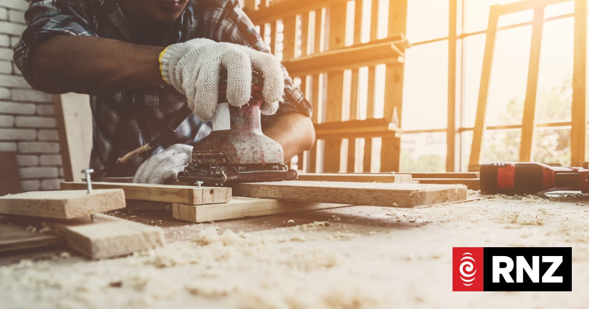 Timber worker loses two fingers to machine without guard | RNZ