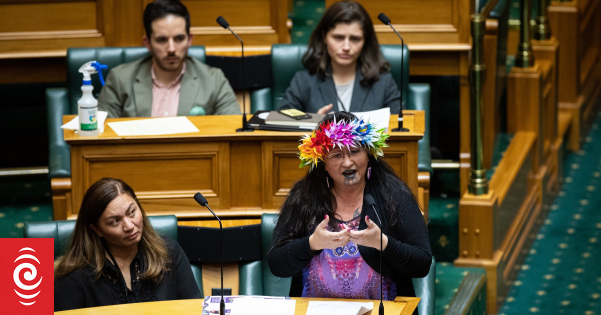 Political Commentators Neale Jones and Tim Hurdle | RNZ