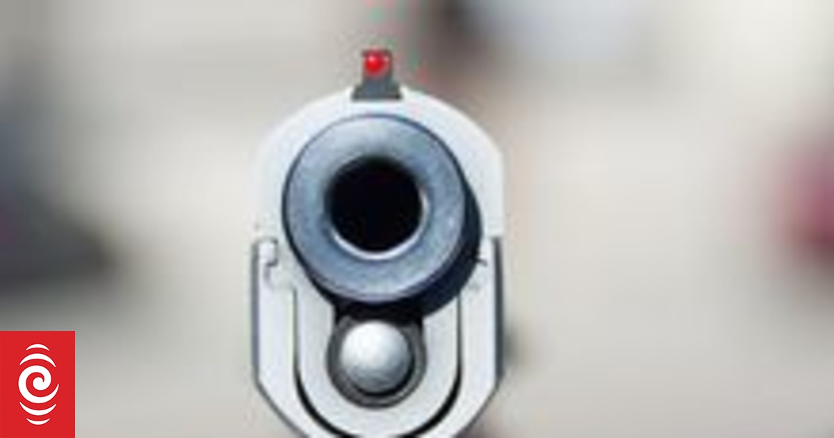 Firearms in NZ | RNZ